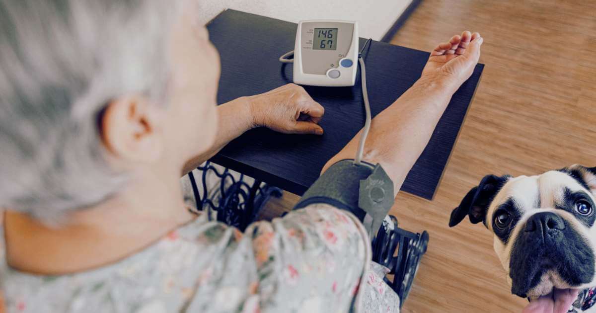 CARDINOL ESPAÑA, Opiniones, Precio, Donde Comprar Cardinol en España ...